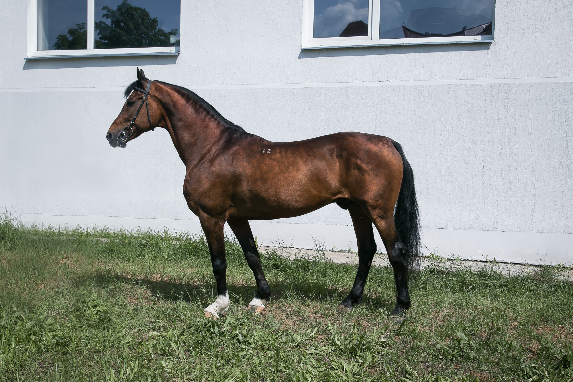 Жаркий